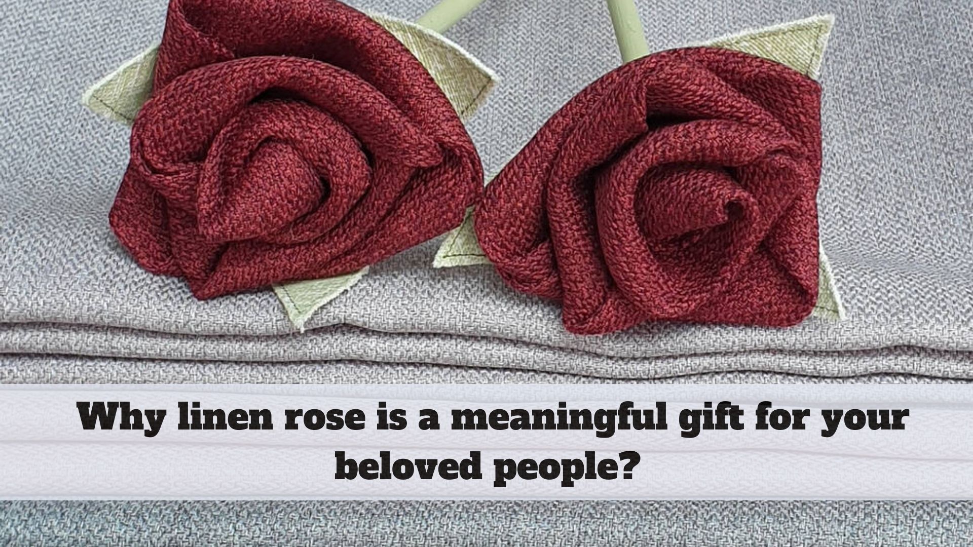 Why linen rose is a meaningful gift for your beloved person? - Camellia ...