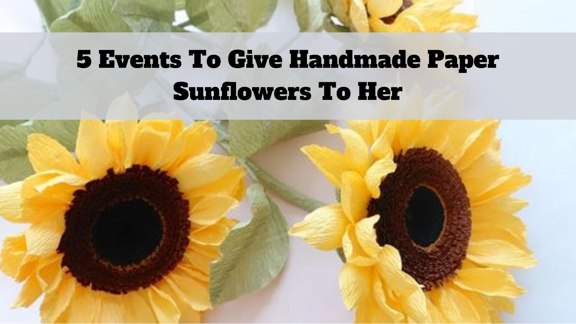 5 Events To Give Handmade Paper Sunflowers To Her