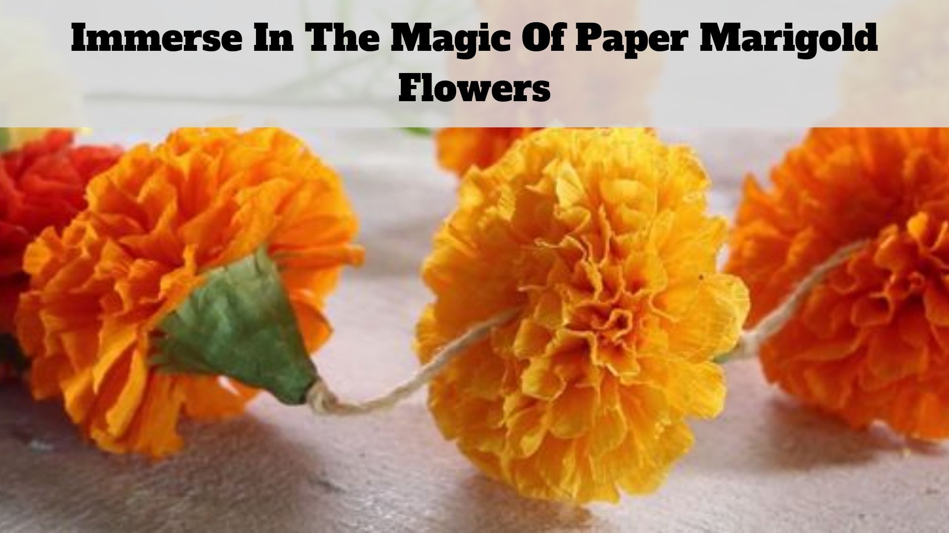 Immerse In The Magic Of Paper Marigold Flowers