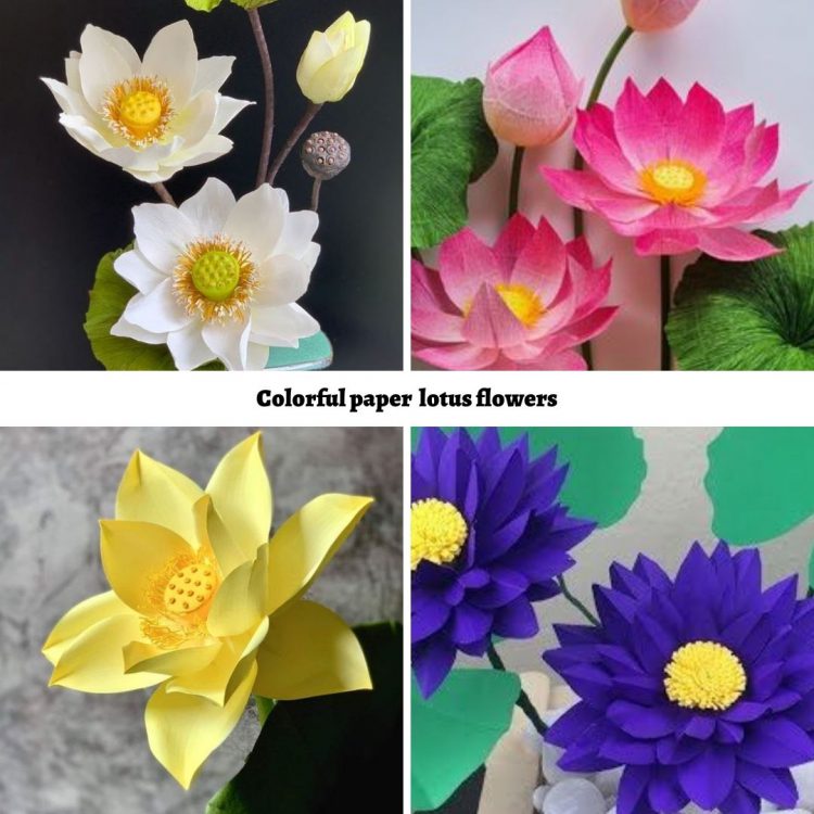 Paper Lotus Flowers: Symbolism, Practical Uses, Craft Tutorial