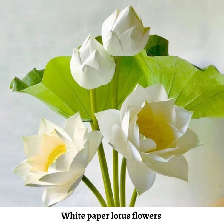 Paper Lotus Flowers: Symbolism, Practical Uses, Craft Tutorial