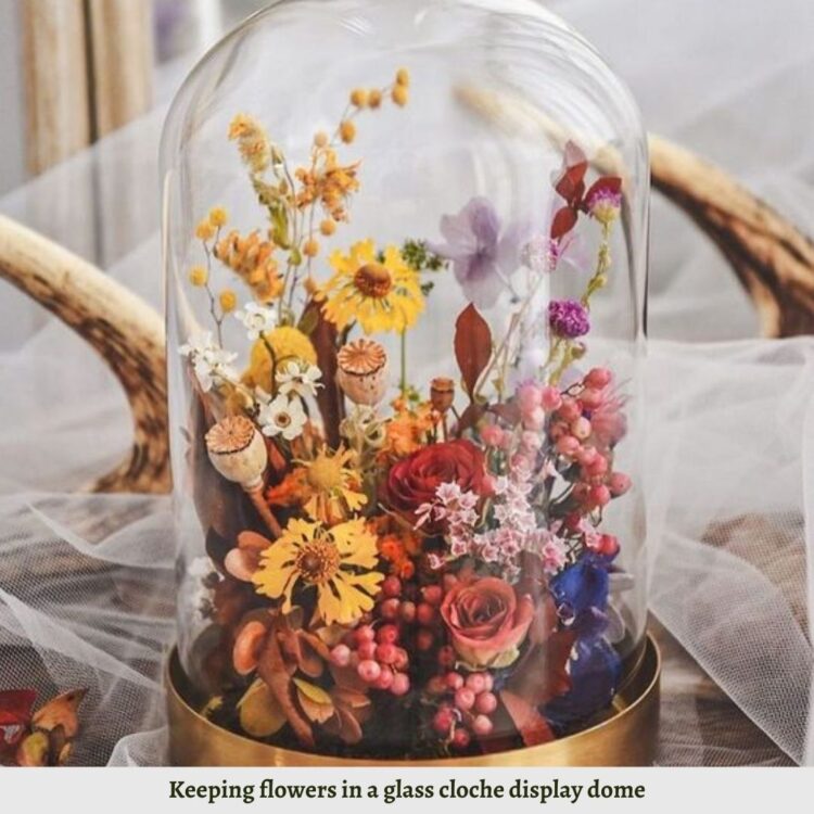 4 Tips To Clean And Preserve Handmade Paper Flowers