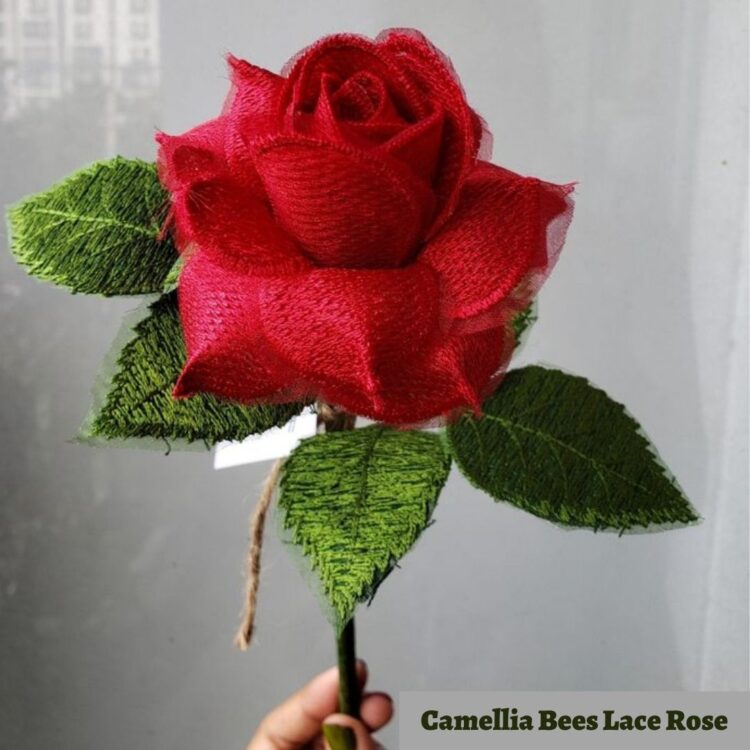 The Symbolism Of Lace Roses In 13th Wedding Anniversary - Camellia Bees ...